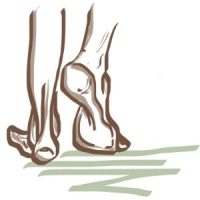 Individual Sessions – Sat Nam Grounding